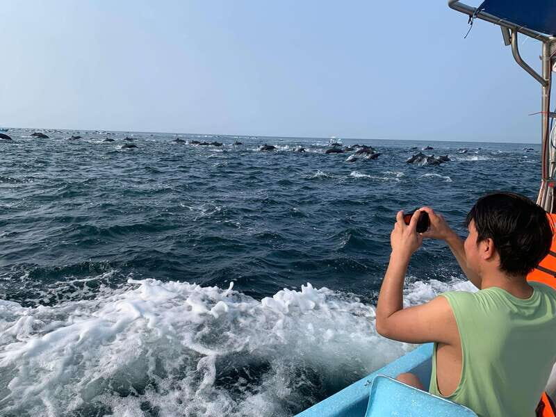 Puerto Escondido: Boat Tour to see Dolphins and Marine Life - An In-Depth Look at the Experience