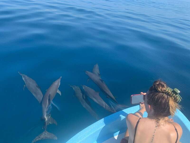 Puerto Escondido: Boat Tour to see Dolphins and Marine Life - Whats Included & Whats Not