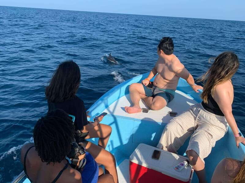 Puerto Escondido: Boat Tour to see Dolphins and Marine Life - FAQ