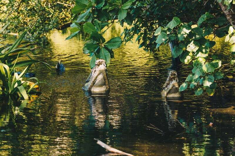 Puerto Escondido: Oaxaca Coast Wildlife Ecotour - Final Thoughts: Is This Tour Worth It?