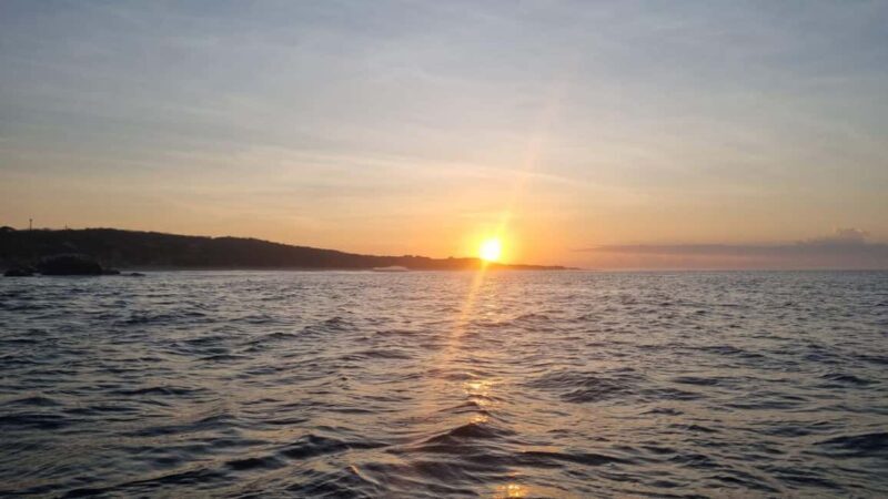 Puerto Escondido: The Best Adventure for Dolphin Watching - FAQs: Your Dolphin Watching Questions Answered