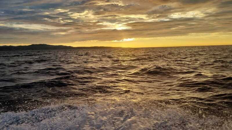 Puerto Escondido: The Best Adventure for Dolphin Watching - Final Thoughts