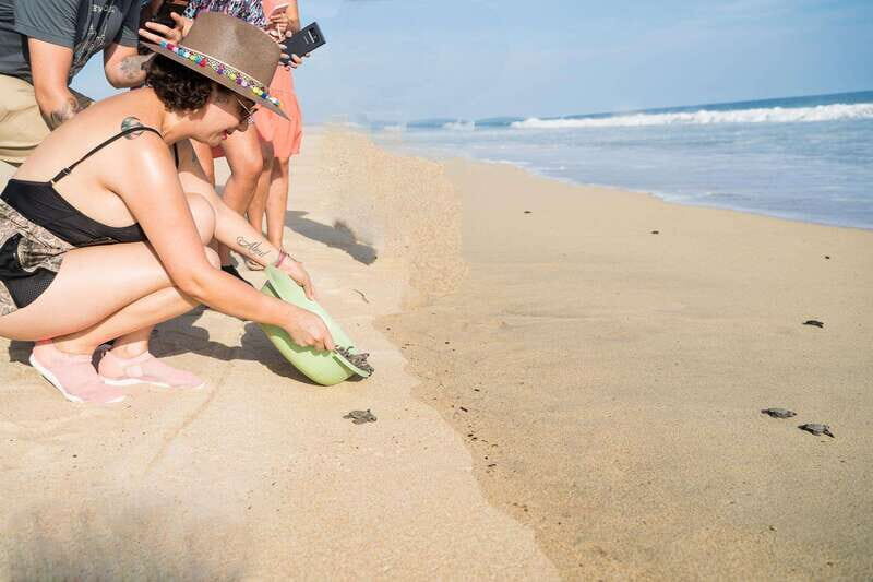 Puerto Escondido: Turtle Release Experience - FAQ