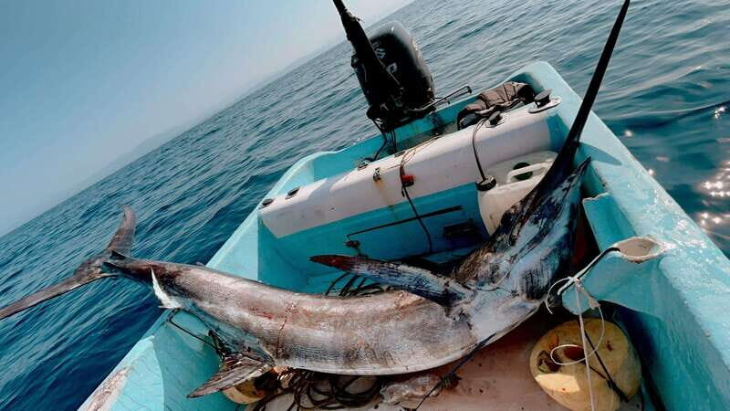 Puerto: Fishing Experience Marlin, Sailfish, Tuna or Dorado - The Itinerary in Detail