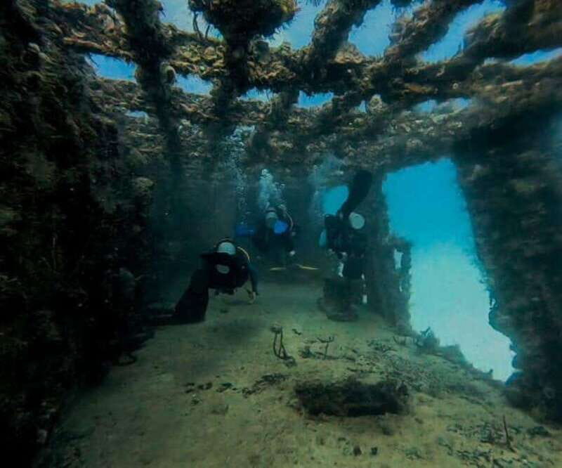 Puerto Morelos: C-56 Shipwreck & Reef for Certified Divers - Key Points