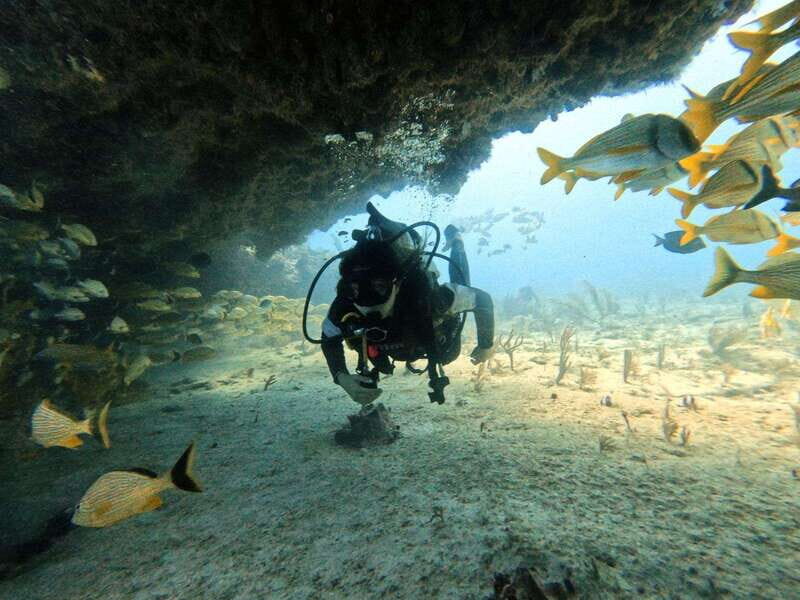Puerto Morelos: C-56 Shipwreck & Reef for Certified Divers - Discovering the Underwater World of Puerto Morelos