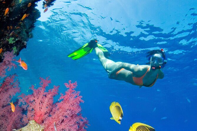 Puerto Morelos Catamaran Reef Sail and Snorkel - Catamaran Sail in Puerto Morelos Marine Park