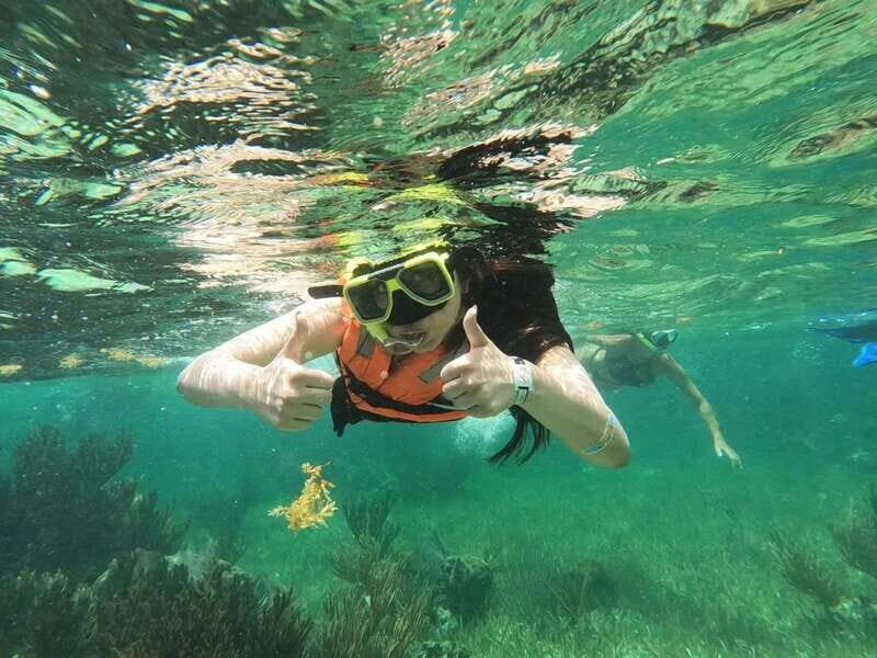 Puerto Morelos: Guided Snorkeling Tour with Gear & Fees - Introduction