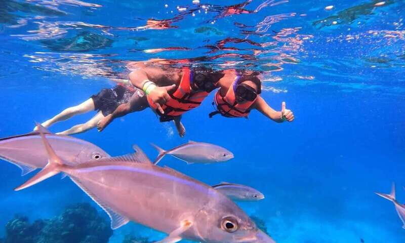 Puerto Morelos: Guided Snorkeling Tour with Gear & Fees - The Itinerary: What to Expect