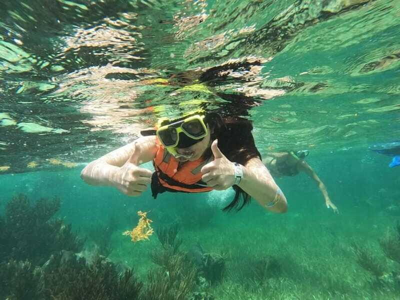 Puerto Morelos: Guided Snorkeling Tour with Gear & Fees - Practical Tips for a Great Experience