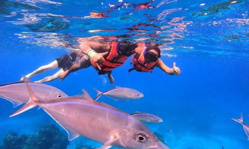 Puerto Morelos: Guided Snorkeling Tour with Gear & Fees - Who Should Consider This Tour?