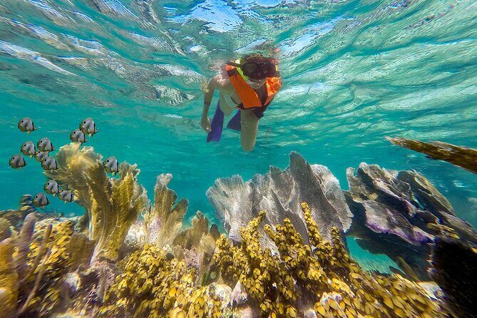 Puerto Morelos Reef Snorkeling & Beachside Lunch - Authentic Insights from Past Travelers  