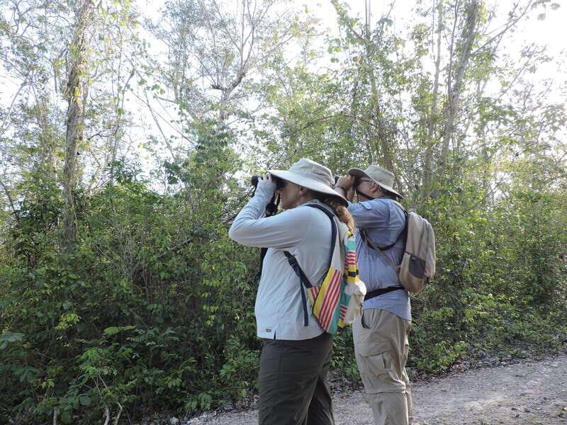 Puerto Morelos: Ruta de los Cenotes Birdwatching Tour - An In-Depth Look at the Puerto Morelos Birdwatching Tour