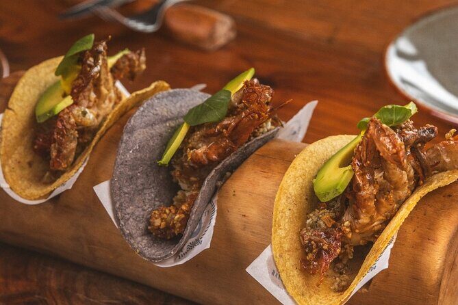 Puerto Morelos Snorkel Nature Tour ! Private from Cancun - The Sum Up