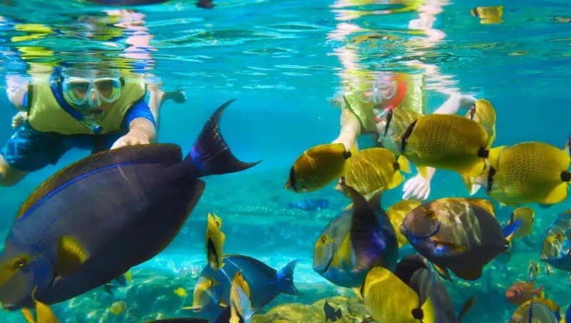 Puerto Morelos: Snorkeling at The National Reef Park - An In-Depth Look at the Tour Experience