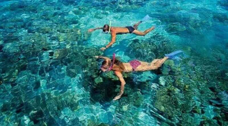 Puerto Morelos: Snorkeling at The National Reef Park - The Sum Up: Is This Tour Worth It?