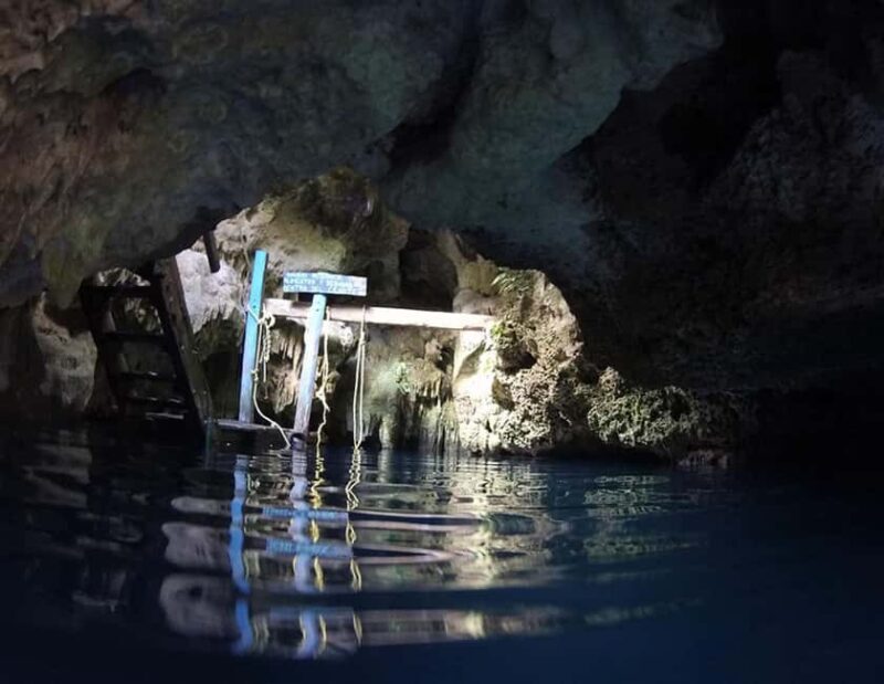 Puerto Morelos: Snorkeling In Cenotes - Introduction: A Quick Look at What’s on Offer