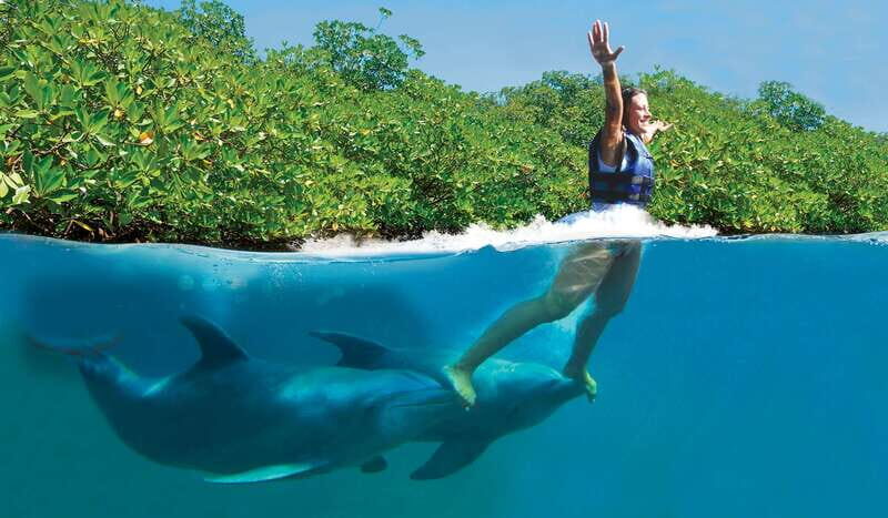Puerto Morelos: Swim with dolphins Primax - Who Should Consider This Experience?