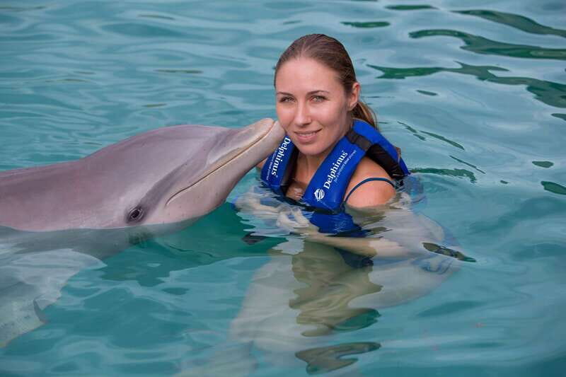 Puerto Morelos: Swim with Dolphins - Arrival and Location