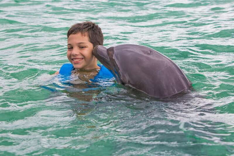 Puerto Morelos: Swim with Dolphins - The Experience from Reviews