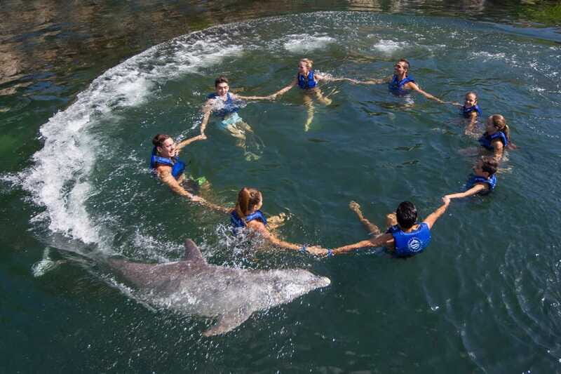 Puerto Morelos: Swim with Dolphins - Who Will Love This Tour?
