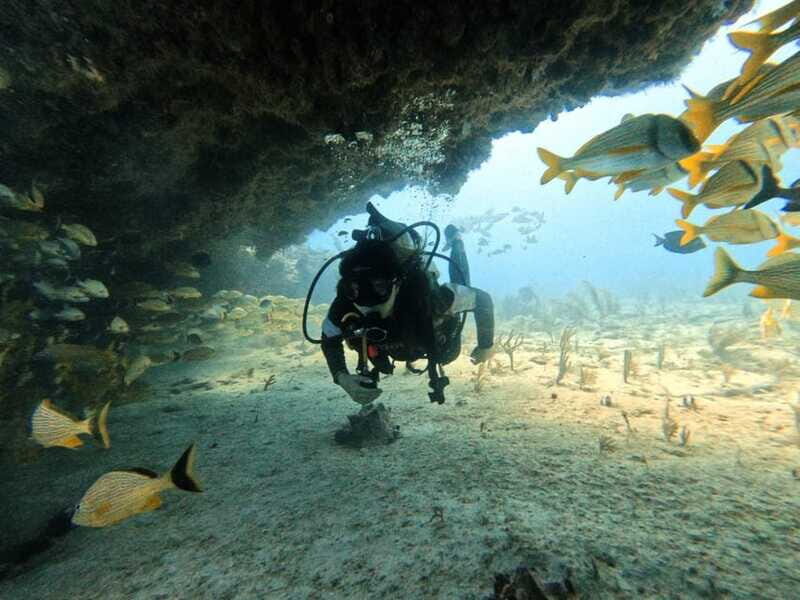 Puerto Morelos: Two Reef Dives for Certified Divers - What You Might Love and What to Keep in Mind