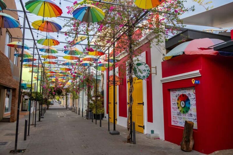 Puerto Plata: Walking Tour with Rum & Chocolate Tastings - Who Will Love This Tour?