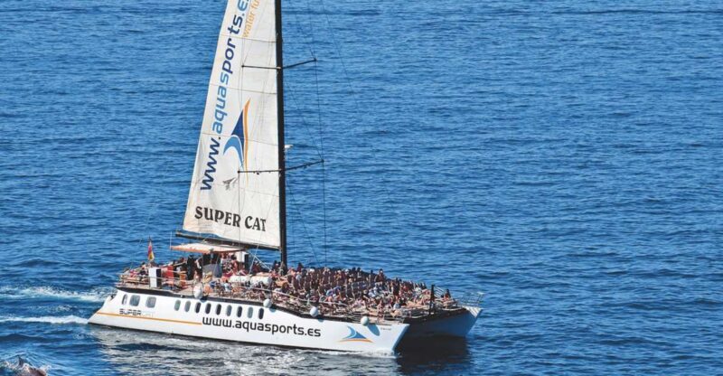 Puerto Rico : 2 hour Dolphin Catamaran Excursion - What to Expect on the Tour