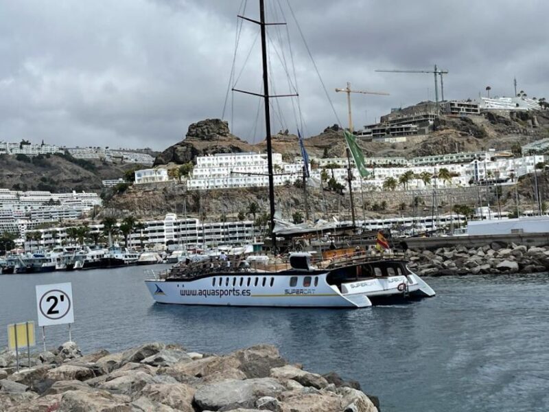 Puerto Rico : 2 hour Dolphin Catamaran Excursion - Logistics and Practical Details