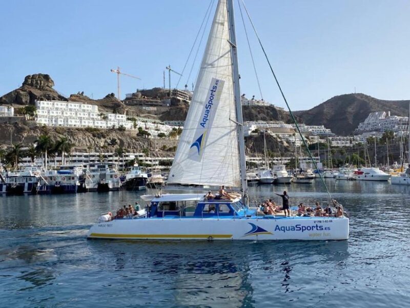 Puerto Rico: 4-Hour Catamaran Excursion in the South - Who Is This Tour Best For?