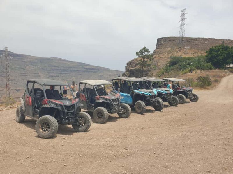 Puerto Rico de Gran Canaria: Offroad Buggy Tour - Who Should Consider This Tour?