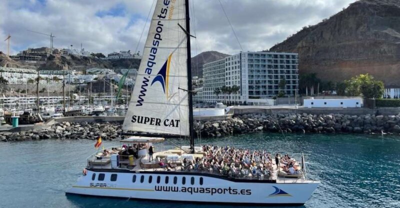 Puerto Rico de Gran Canaria: Premium Dolphin Catamaran Tour - The Experience in Detail