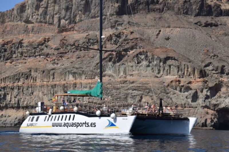 Puerto Rico de Gran Canaria: Premium Dolphin Catamaran Tour - The Sum Up
