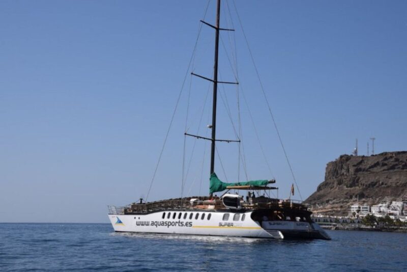Puerto Rico de Gran Canaria: Premium Dolphin Catamaran Tour - FAQs
