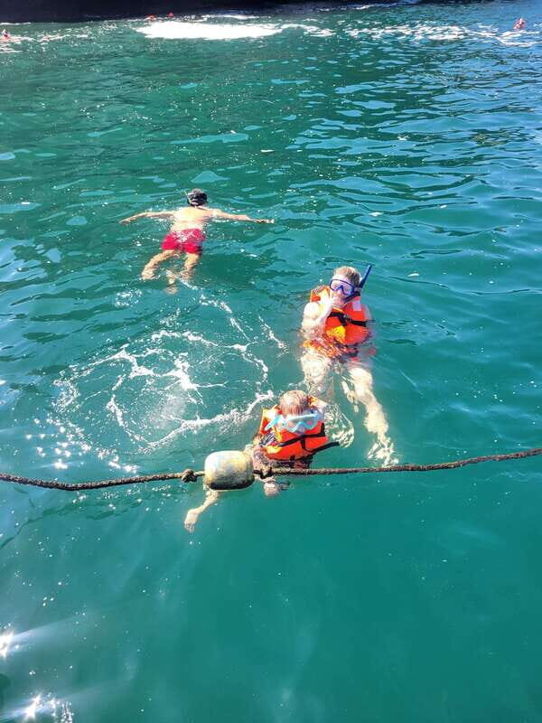 Puerto Vallarta: 3-Hour Whale Watching and Snorkeling - Key Points