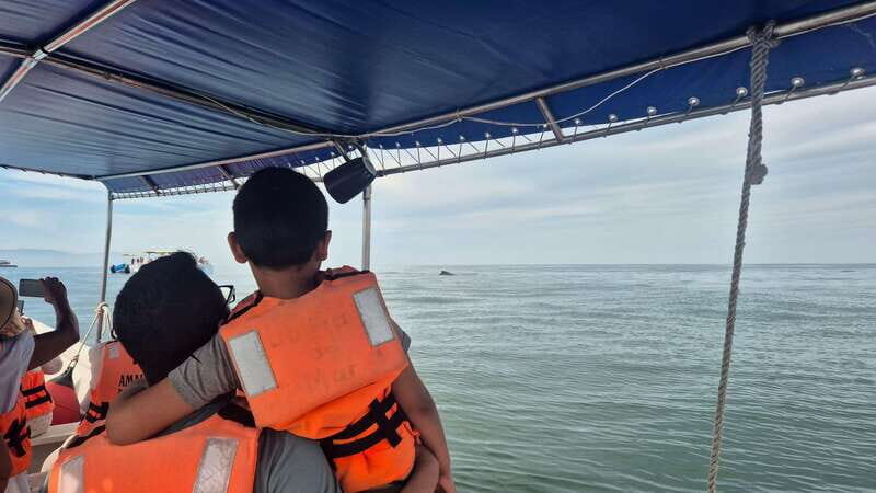 Puerto Vallarta: 3-Hour Whale Watching and Snorkeling - Who This Tour Suits Best