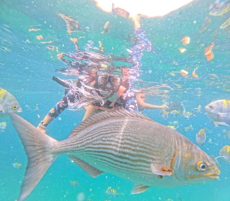 Puerto Vallarta: All-inclusive cruise-ship passenger snorkeling beach and waterfall - Authentic Experiences and Hidden Gems