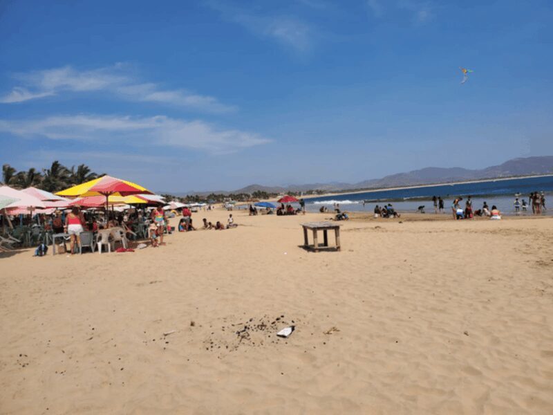 Puerto Vallarta: Beach Tour Experience - FAQ