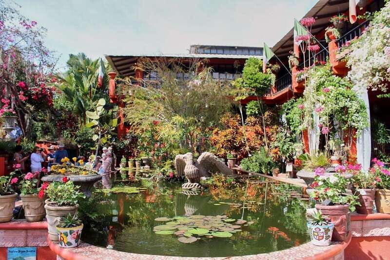 Puerto Vallarta: Botanical Gardens, Distillery & Coffee Tour - Key Points