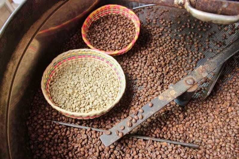 Puerto Vallarta: Botanical Gardens, Distillery & Coffee Tour - What To Expect: A Full Breakdown