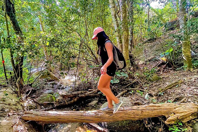 Puerto Vallarta Botanical Gardens Hiking Tour - Overview of the Tour Experience