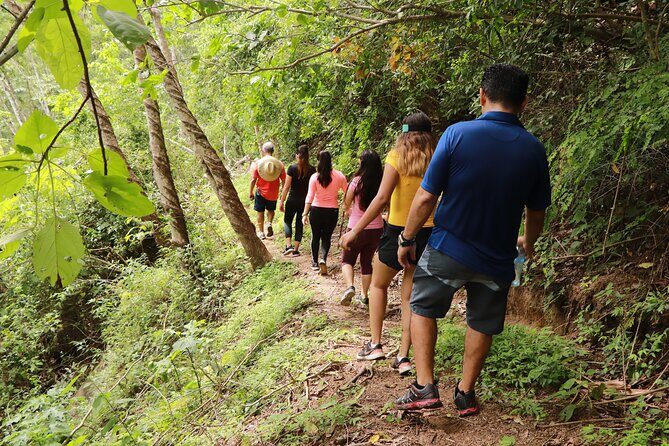 Puerto Vallarta Botanical Gardens Hiking Tour - The River Activities and Family Friendly Vibe
