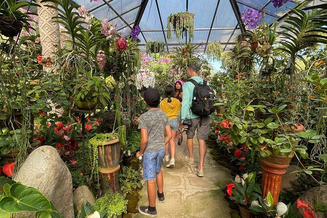 Puerto Vallarta Botanical Gardens Hiking Tour - Practical Details and Value