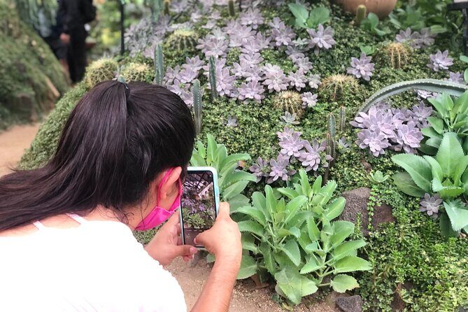 Puerto Vallarta Botanical Gardens Hiking Tour - What the Tour Looks Like Step-by-Step