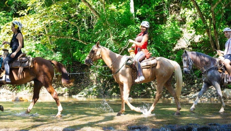 Puerto Vallarta: Canopy River, Mule Ride, Tequila Tour - Key Points