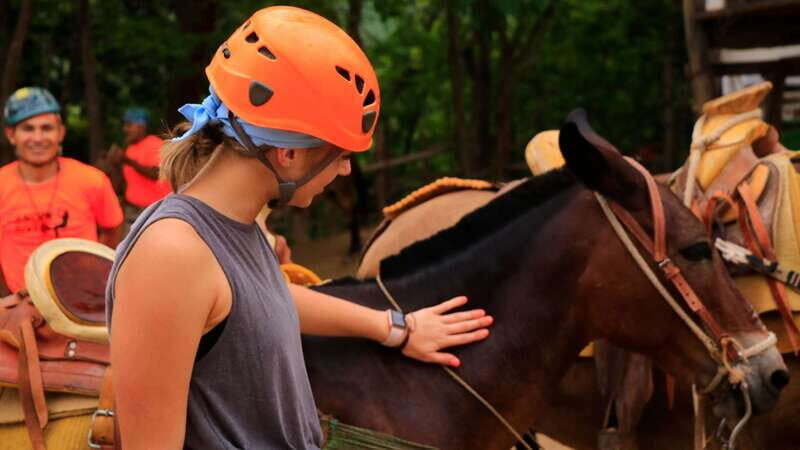 Puerto Vallarta: Canopy River Zip Line Tour with Mule Ride - Key Points