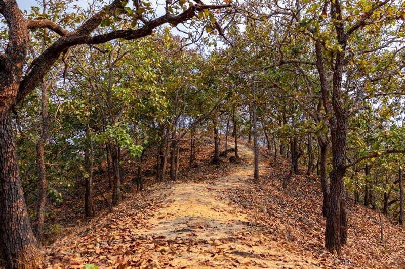 Puerto Vallarta: Day Pass to Jorullo Paradise Adventure - FAQ