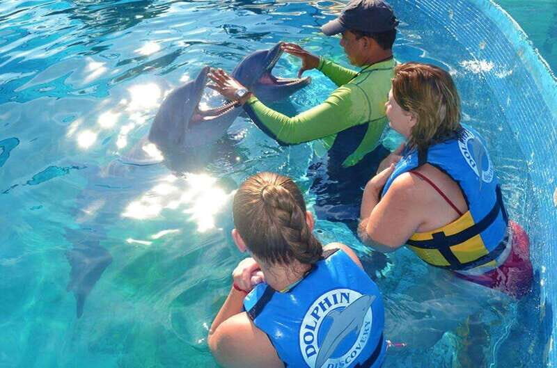 Puerto Vallarta: Dolphin Royal Swim at Aquaventuras Park - Diving into the Details of the Experience
