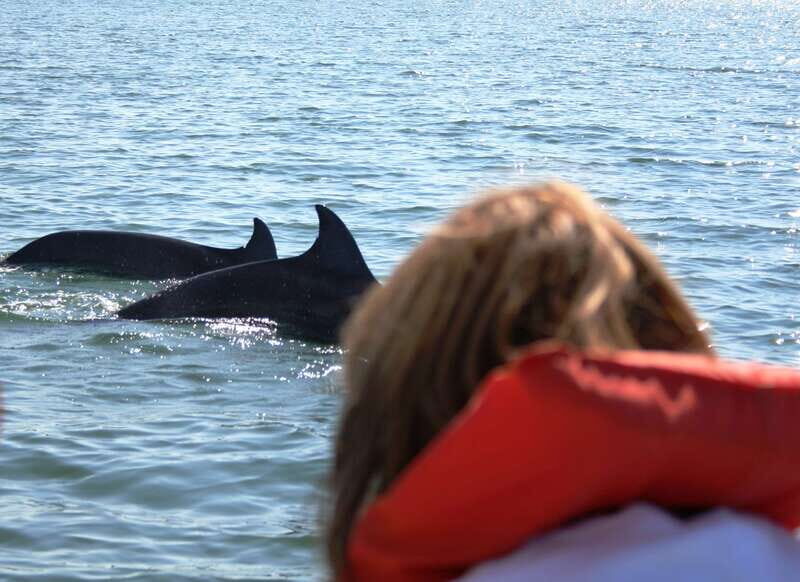 Puerto Vallarta: Dolphin Watching Cruise with a Biologist - A Closer Look at the Experience