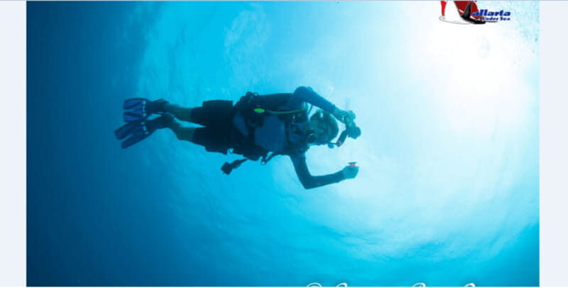 Puerto Vallarta: Exclusive Dive Adventure - The Itinerary and What You Can Expect